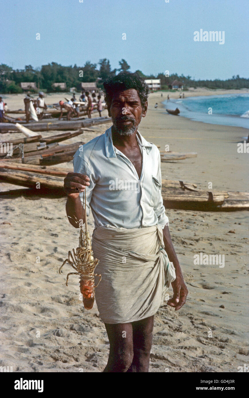 Fisherman with lobster Stock Photo - Alamy