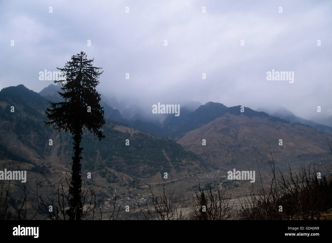 Landscape in Manali Stock Photo - Alamy