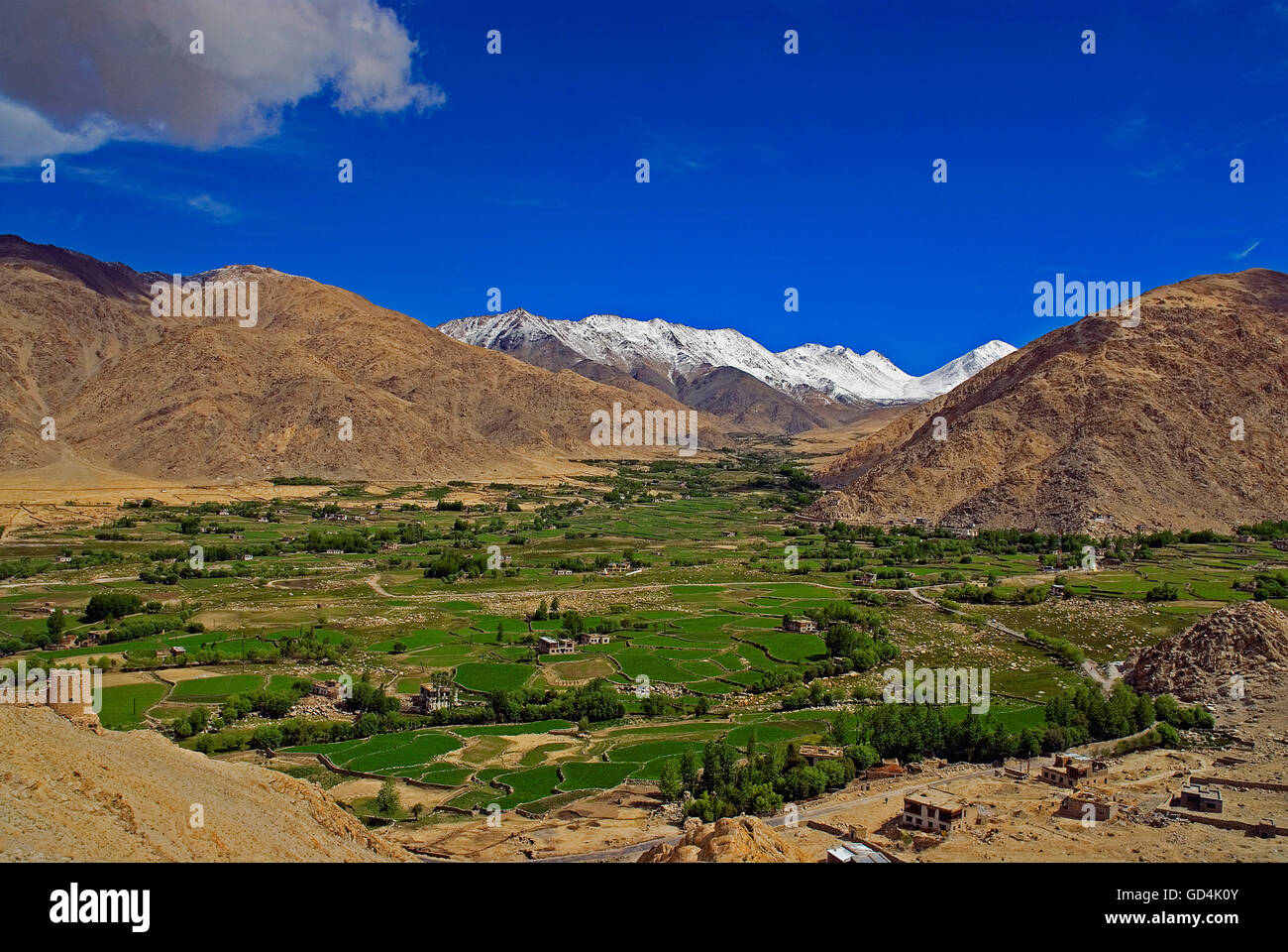 View of Leh Stock Photo - Alamy