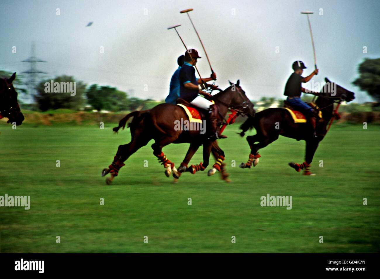 Playing polo hi-res stock photography and images - Alamy