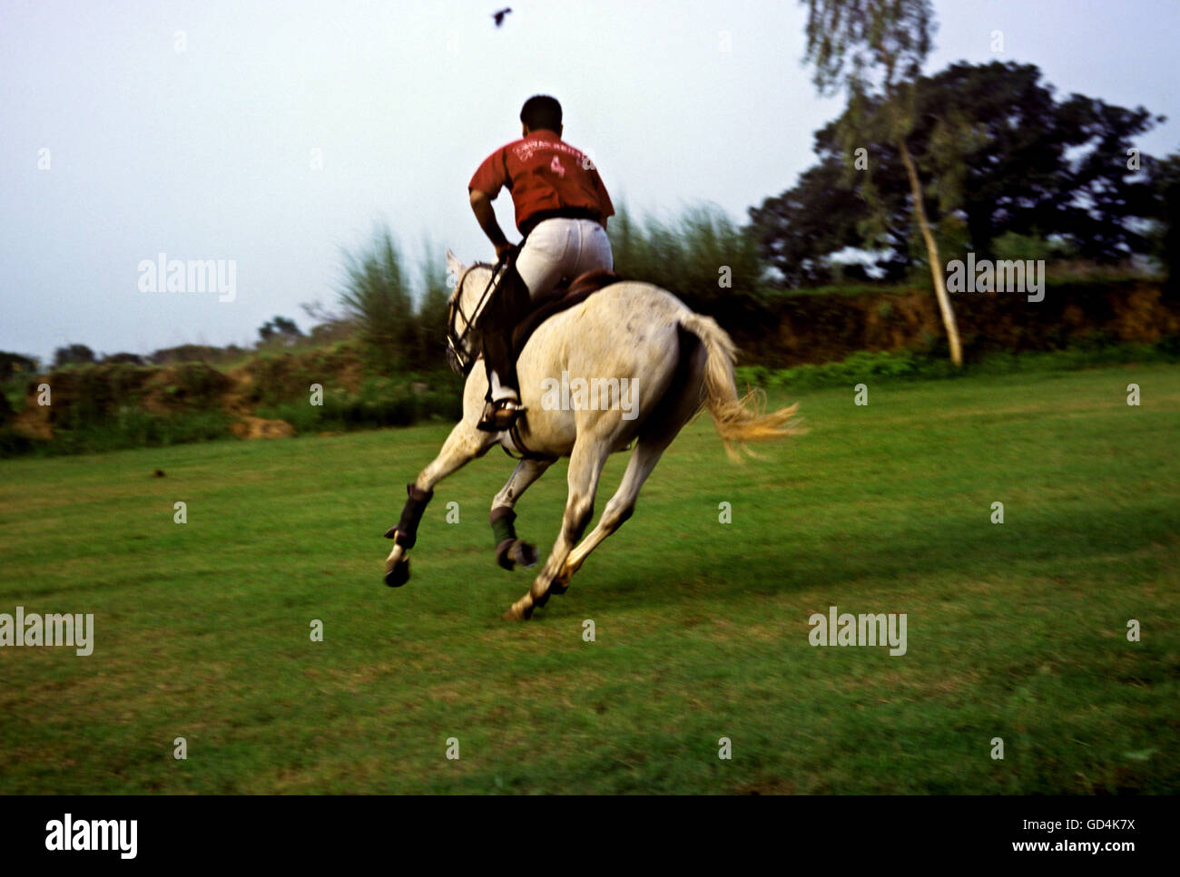 Playing polo hi-res stock photography and images - Alamy