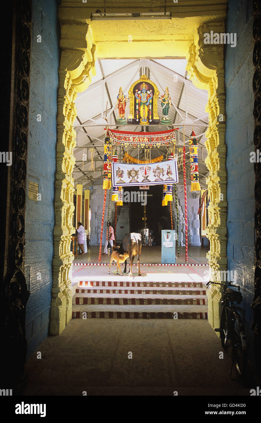 Karam pasu hi-res stock photography and images - Alamy