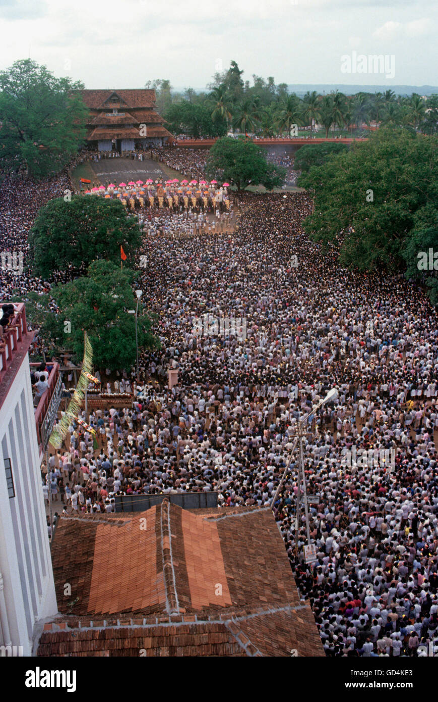 Crowd at festival Stock Photo - Alamy