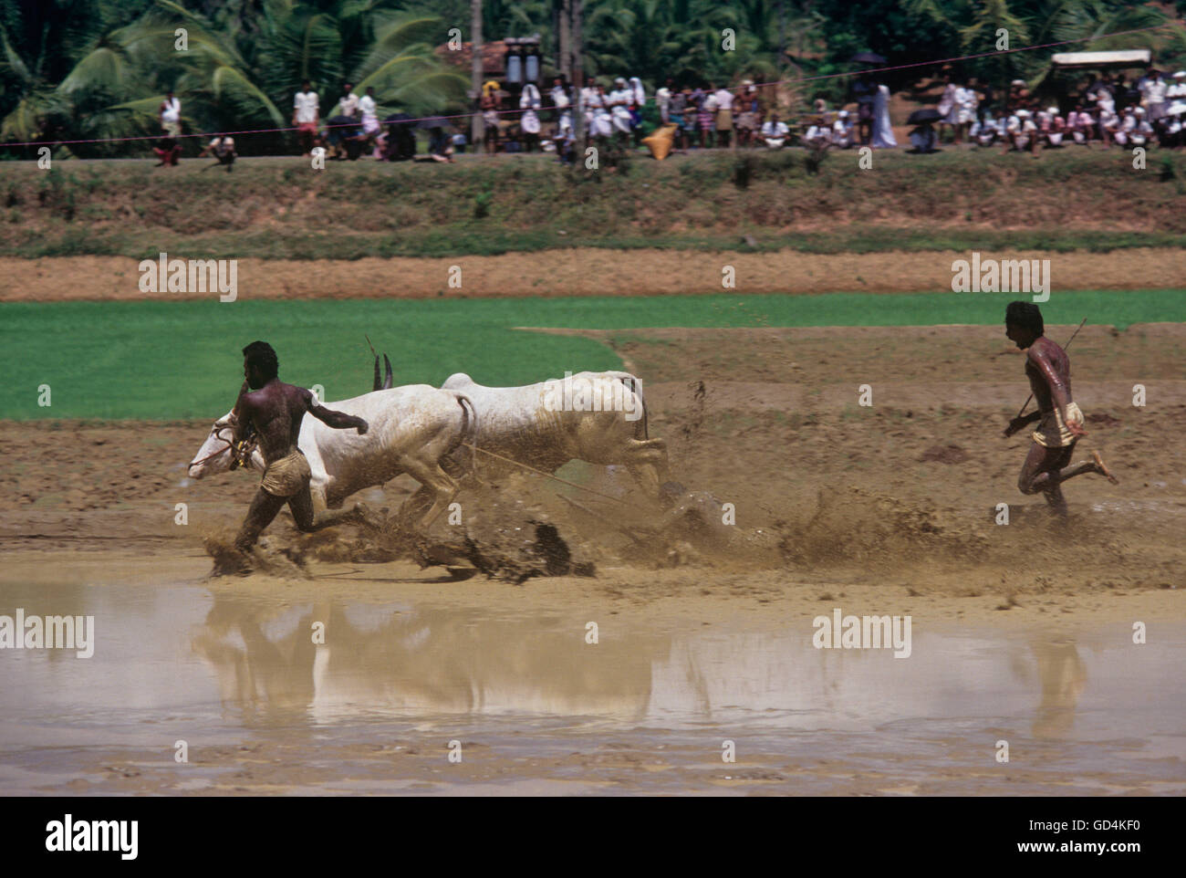 Racing racers hi-res stock photography and images - Alamy