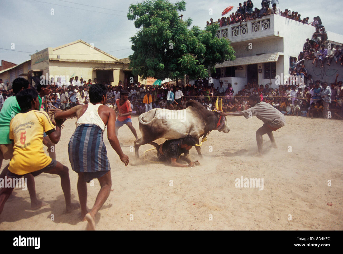 Taming hi-res stock photography and images - Alamy