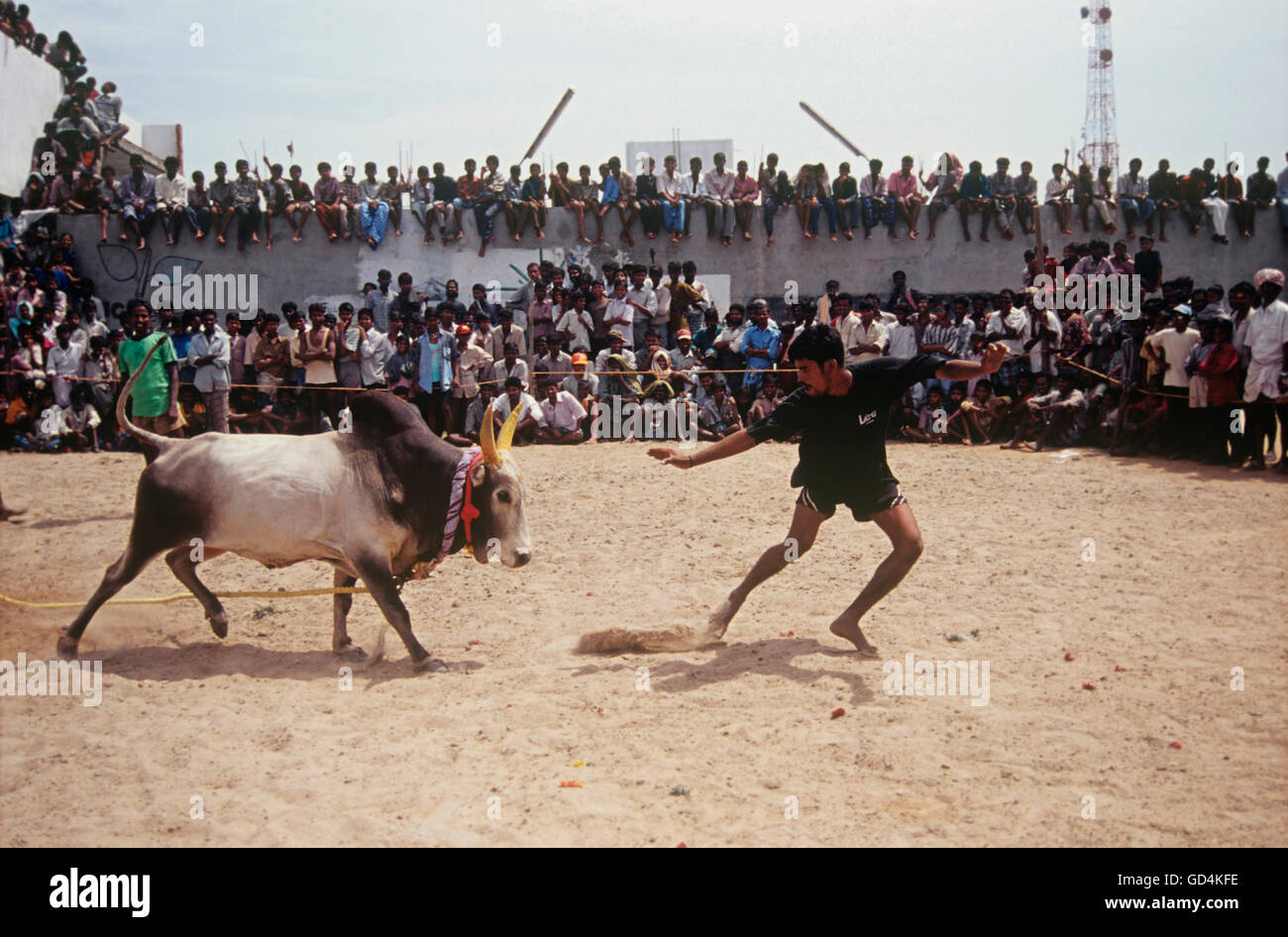Taming hi-res stock photography and images - Alamy