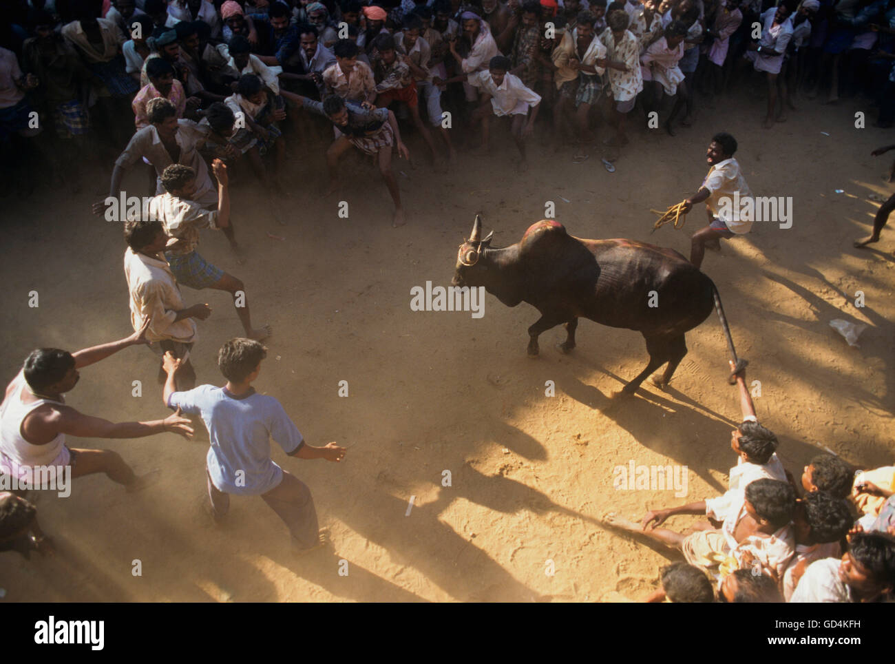 Taming hi-res stock photography and images - Alamy