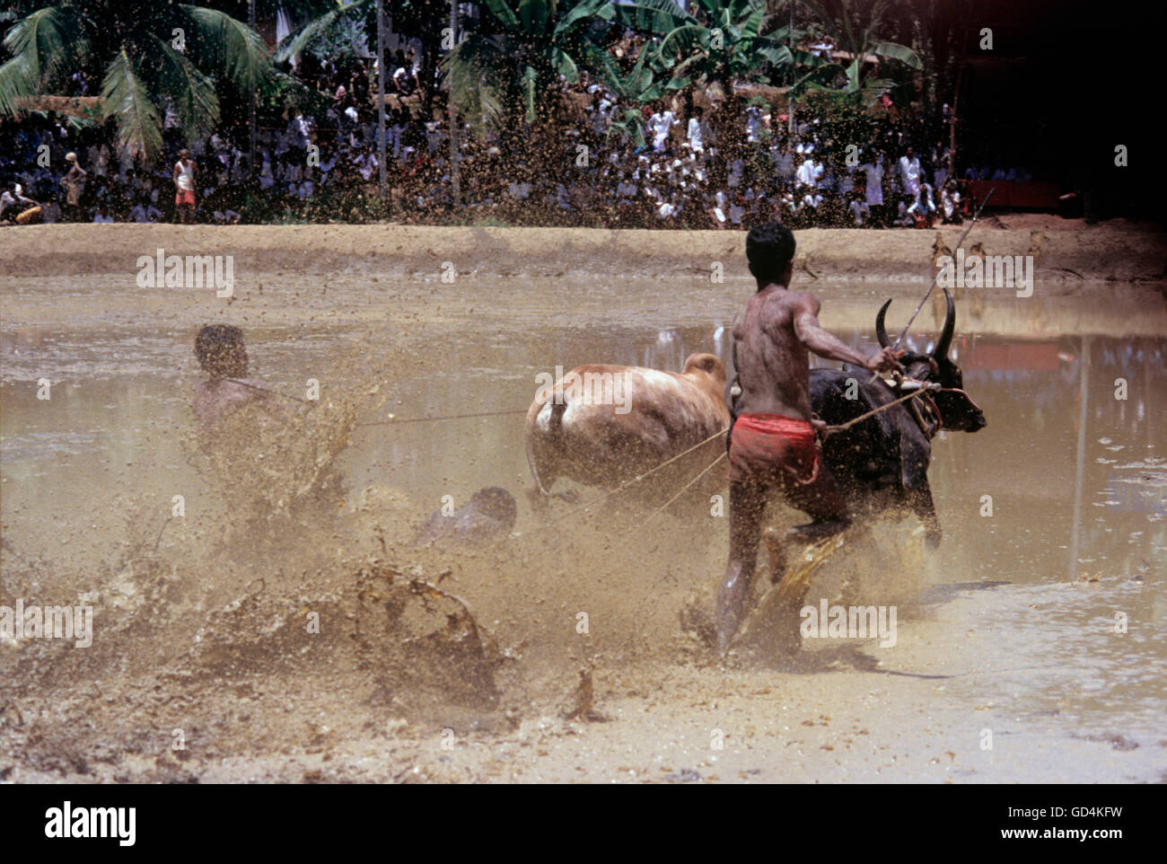 Racing racers hi-res stock photography and images - Alamy