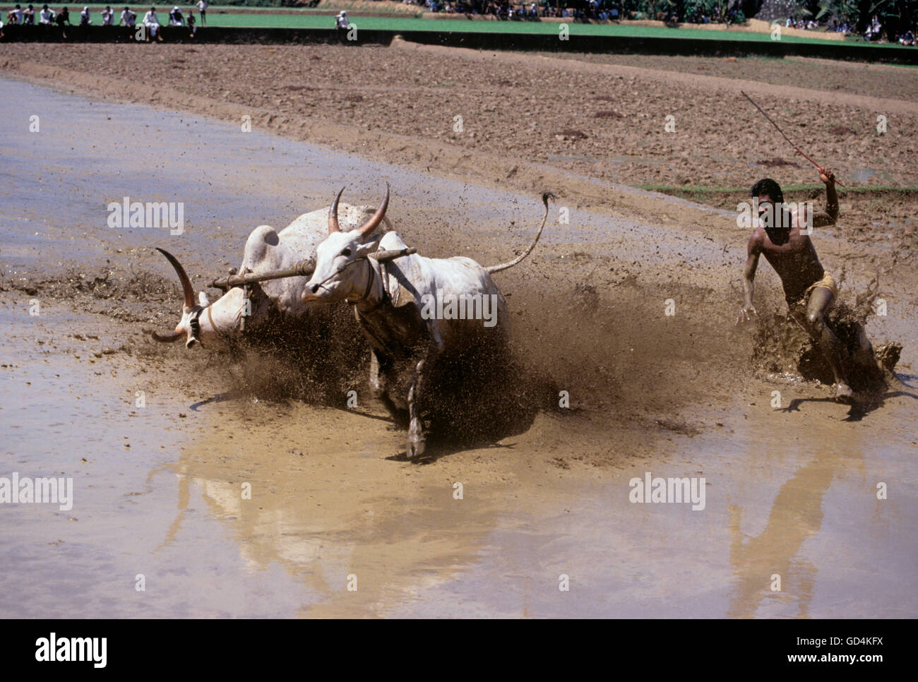 Racing fields hi-res stock photography and images - Alamy