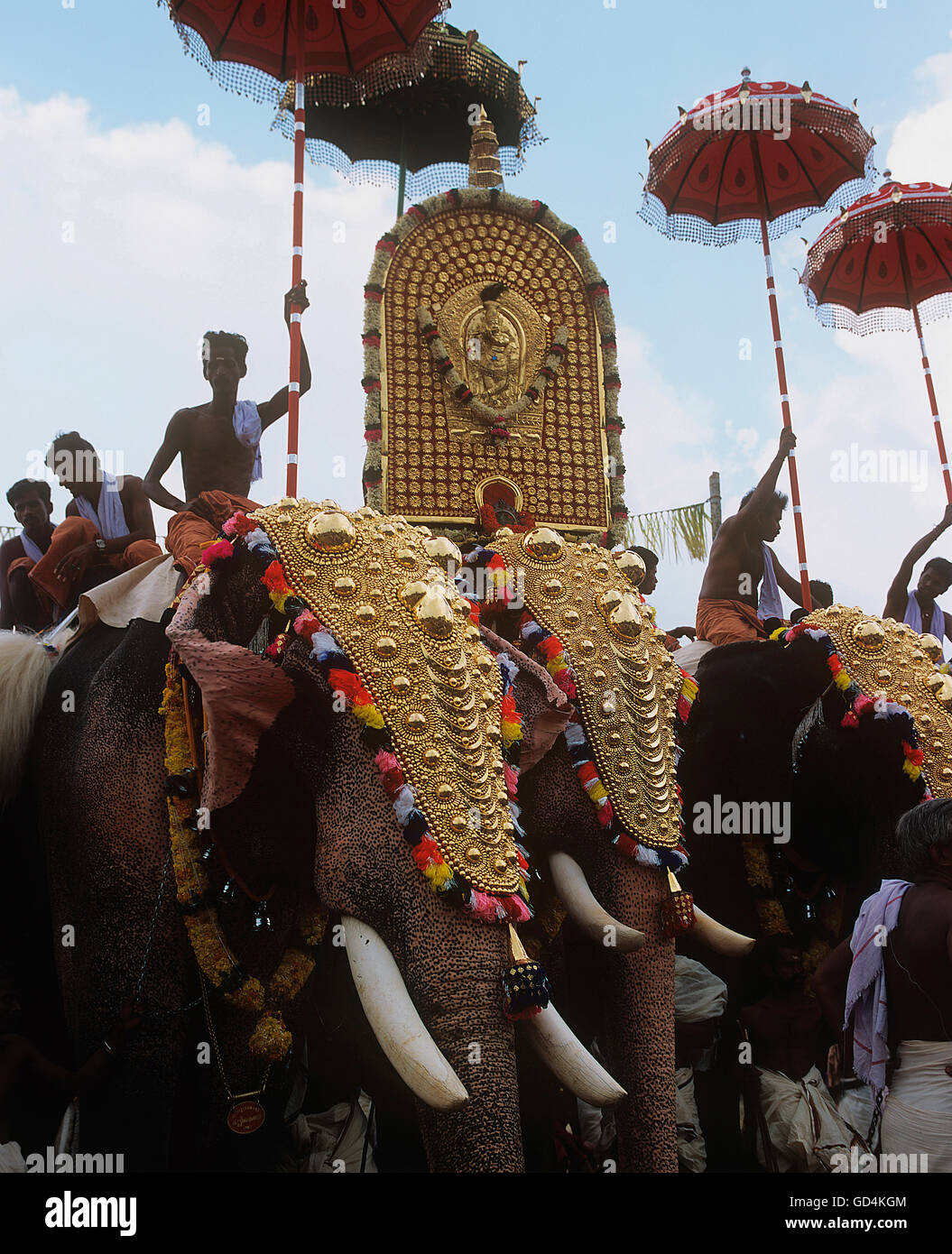 Crowd thrissur pooram hi-res stock photography and images - Alamy