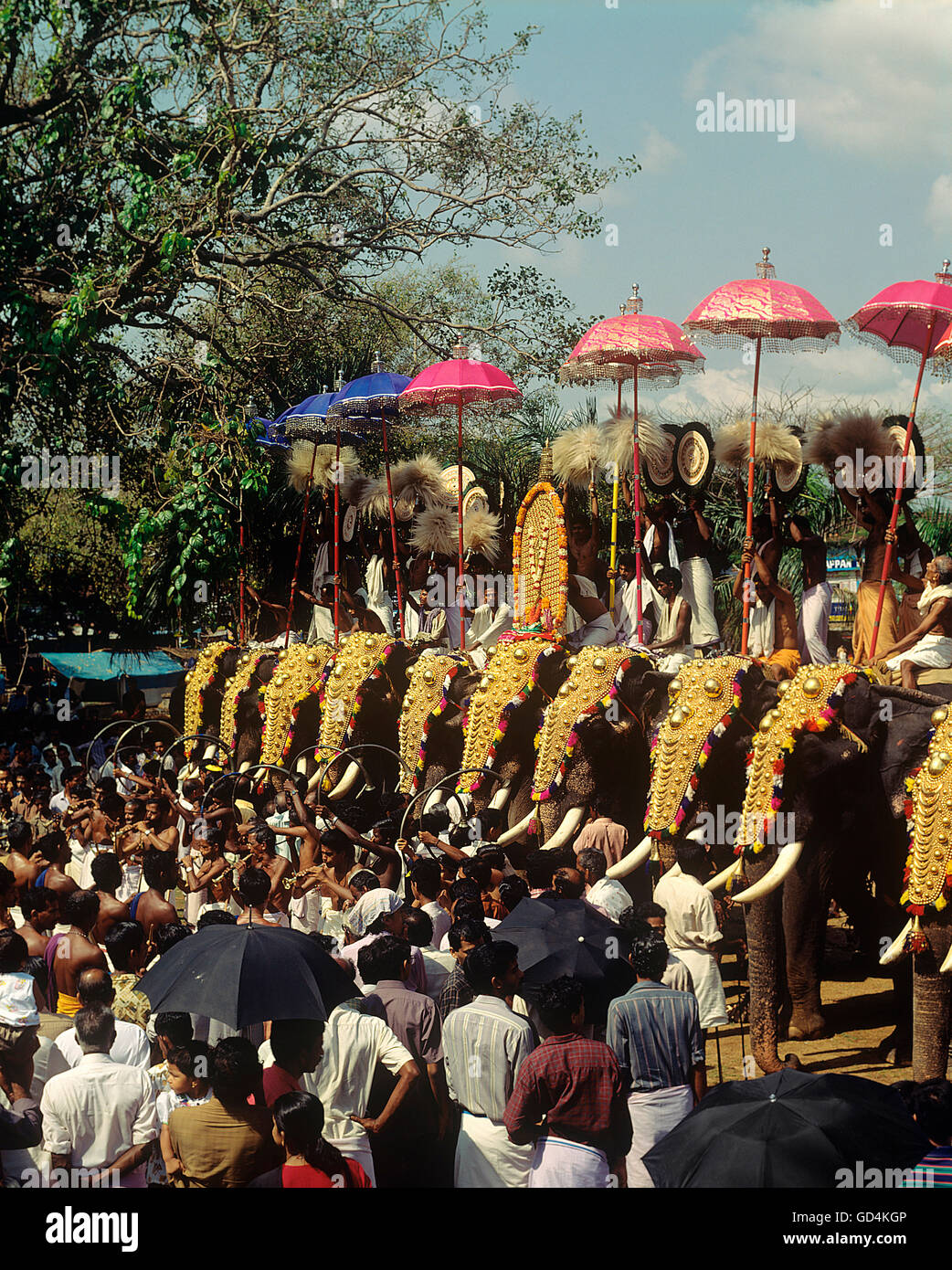 Crowd thrissur pooram hi-res stock photography and images - Alamy