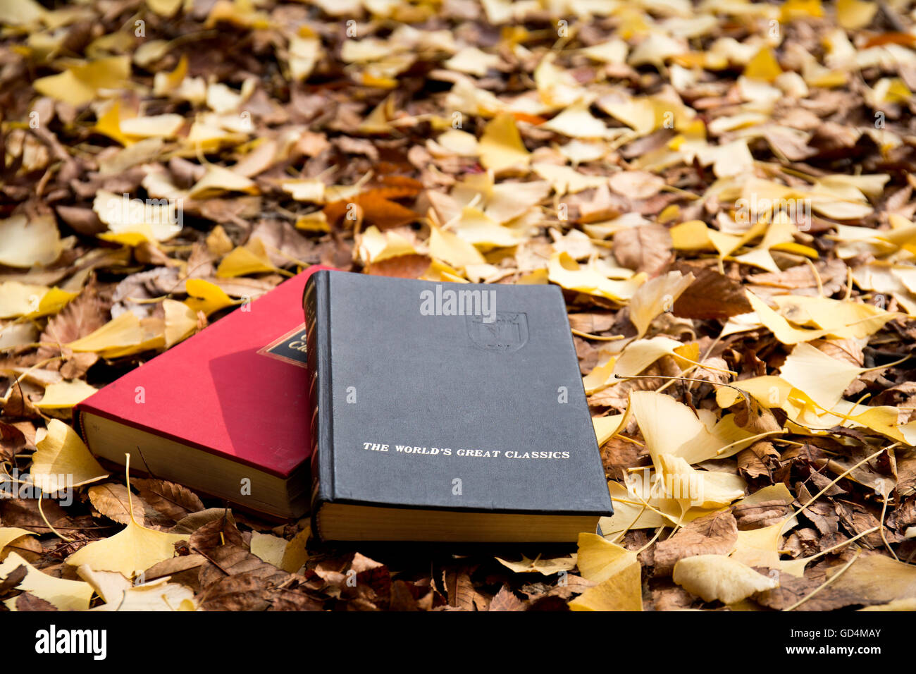 Fall an object Stock Photo - Alamy