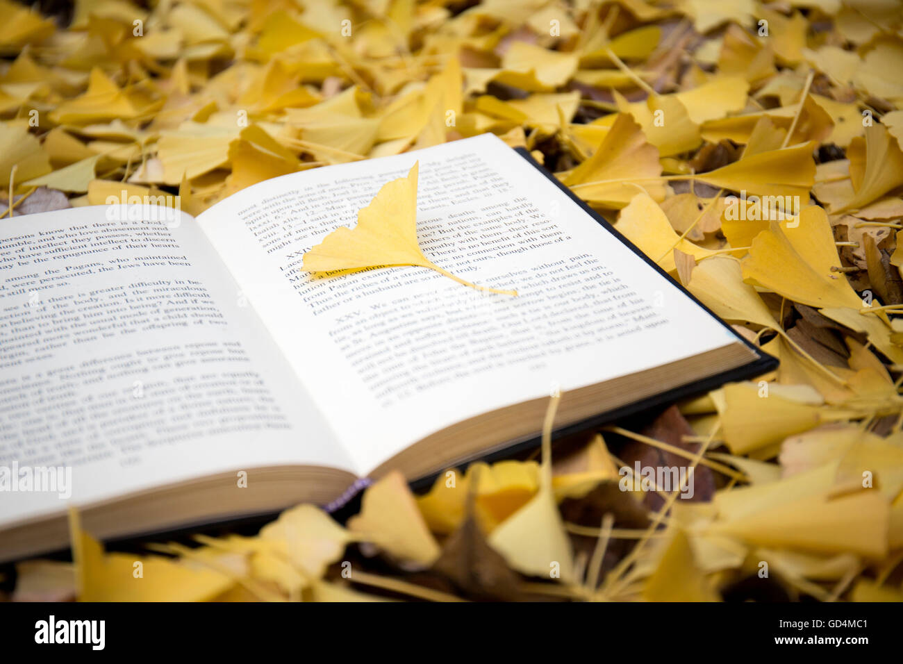 Fall an object Stock Photo - Alamy