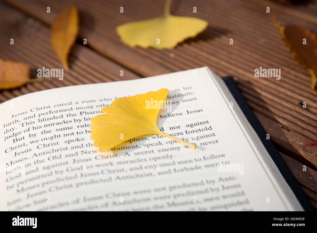 Fall an object Stock Photo - Alamy