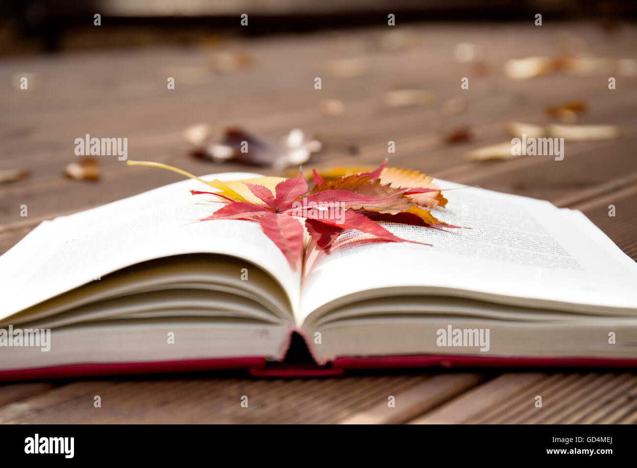 Fall an object Stock Photo - Alamy