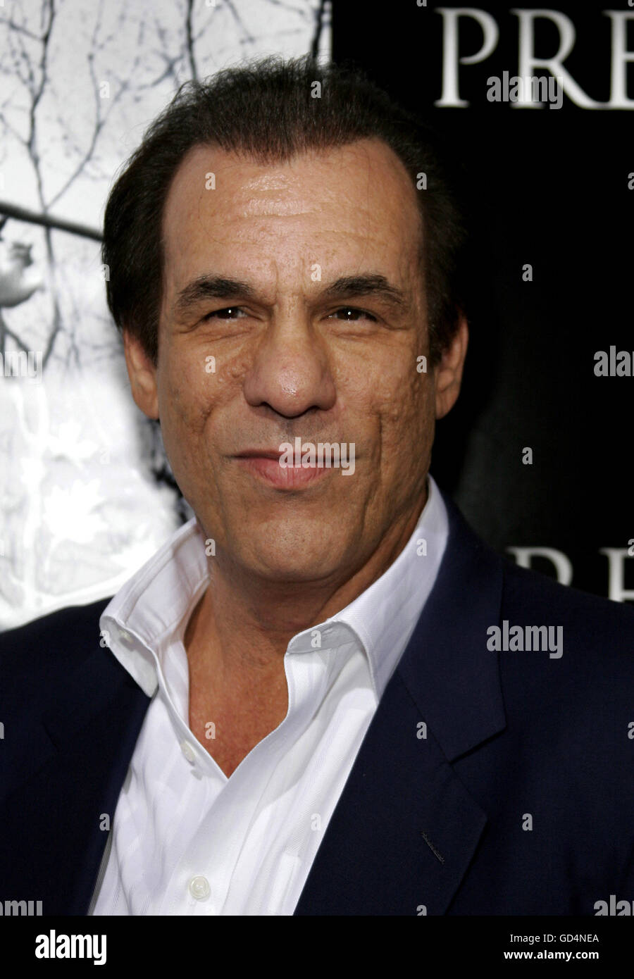 Robert Davi Stock Photos & Robert Davi Stock Images - Alamy