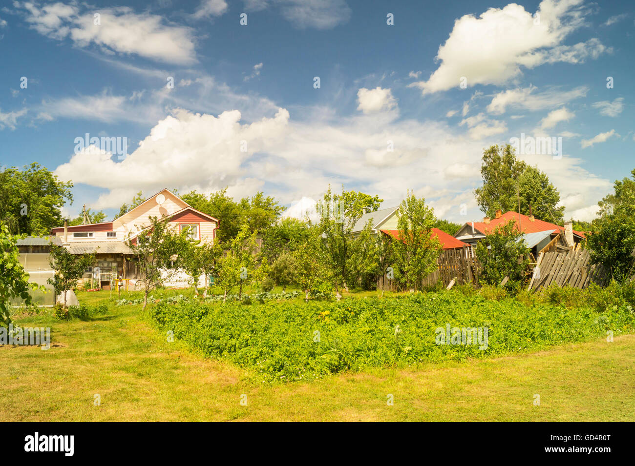 Rural landscape on background blue sky with white cloud Stock Photo - Alamy