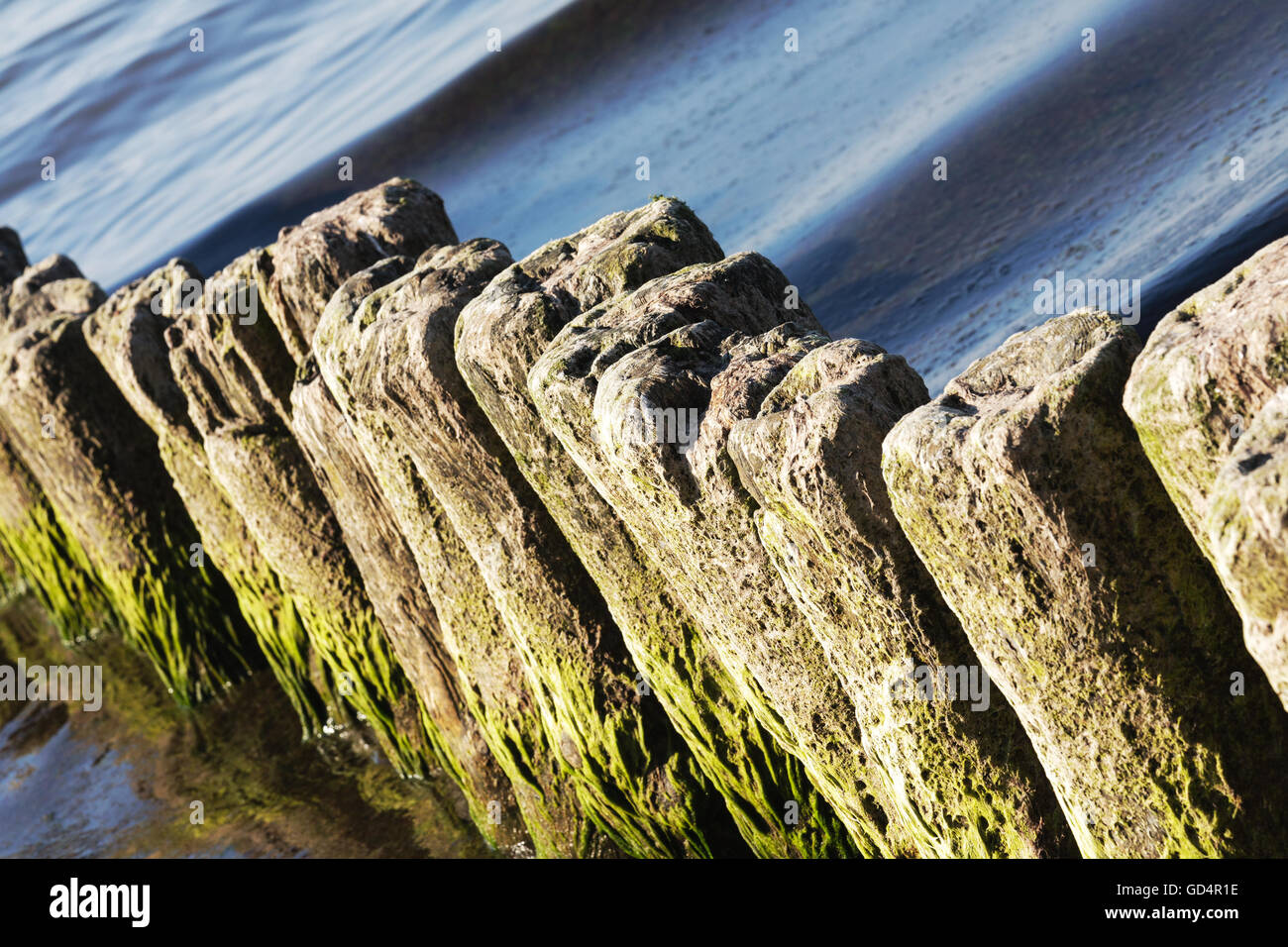 Old breakwaters in the sea in Kolobrzeg Stock Photo - Alamy