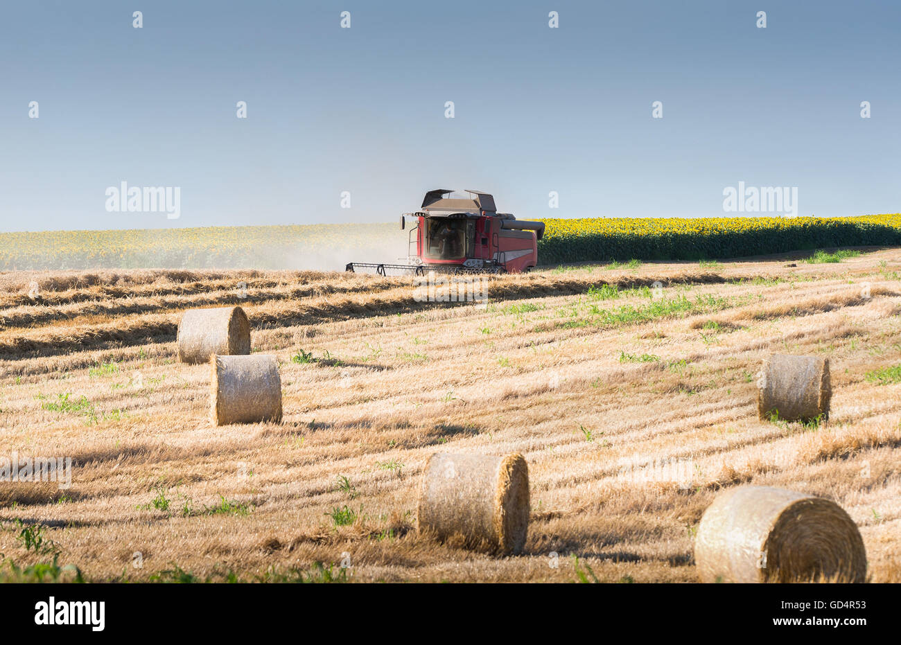 Wheat straw field hi-res stock photography and images - Alamy