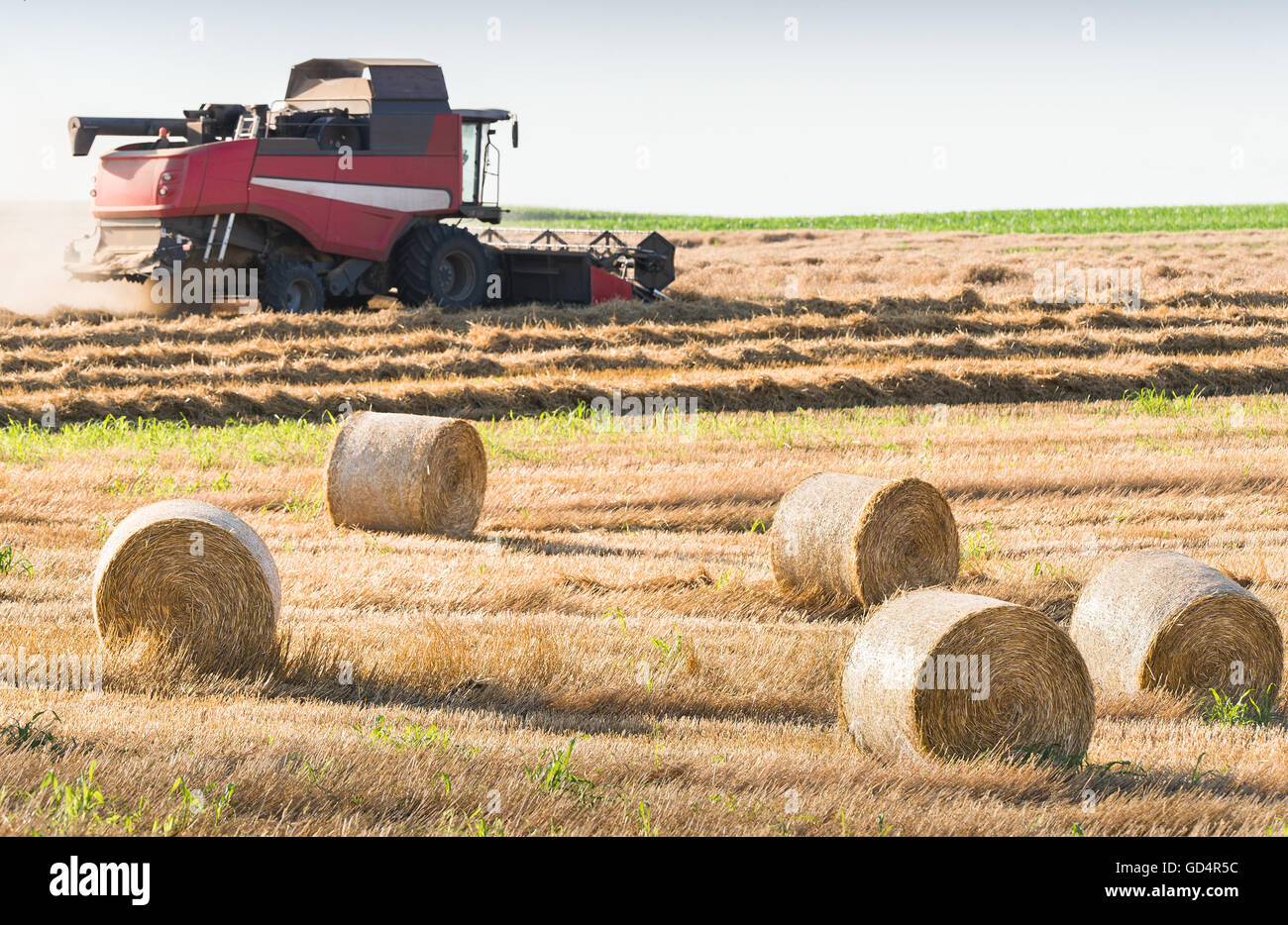 Wheat straw field hi-res stock photography and images - Alamy