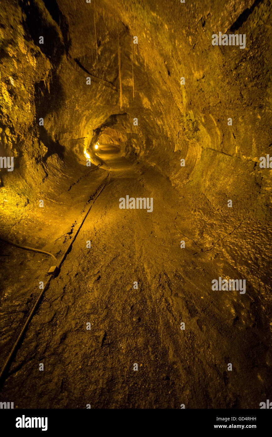 Landscape with bushes of grass on volcanic soil Big Island . Hawaii ...