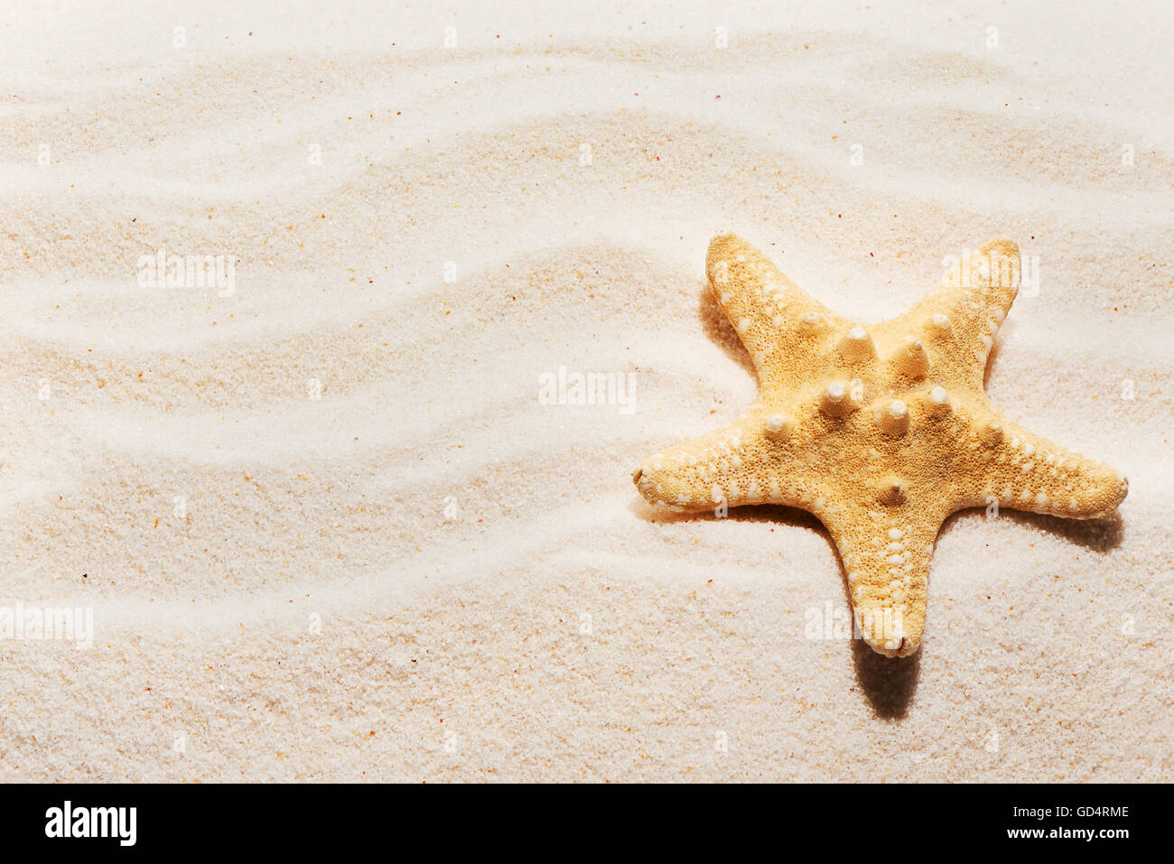 Starfish on sand with marks of waves. Summer beach background. View ...