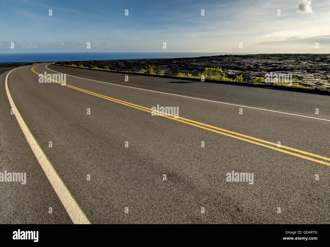 Landscape with bushes of grass on volcanic soil Big Island . Hawaii ...