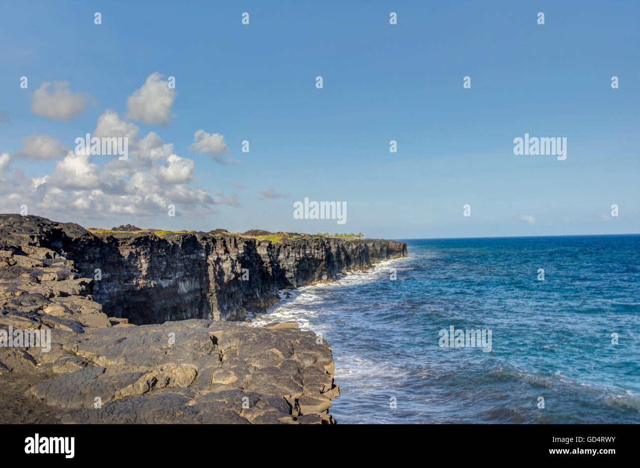 Landscape with bushes of grass on volcanic soil Big Island . Hawaii ...
