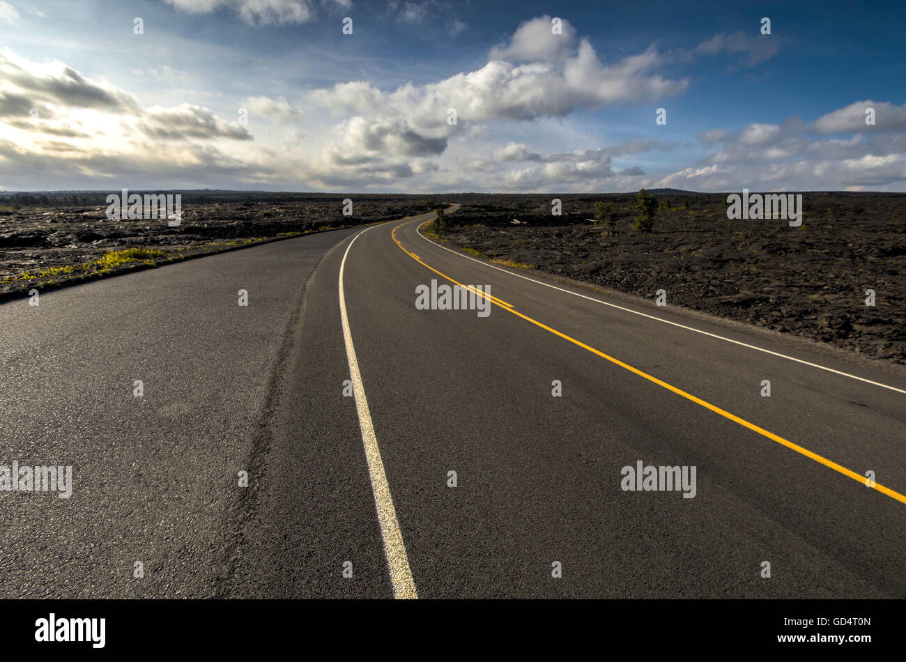 Landscape with bushes of grass on volcanic soil Big Island . Hawaii ...