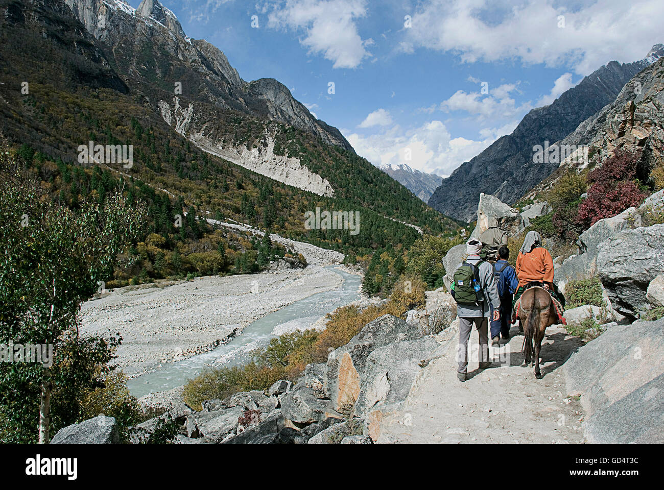 Trekkers on trekking trail Stock Photo - Alamy