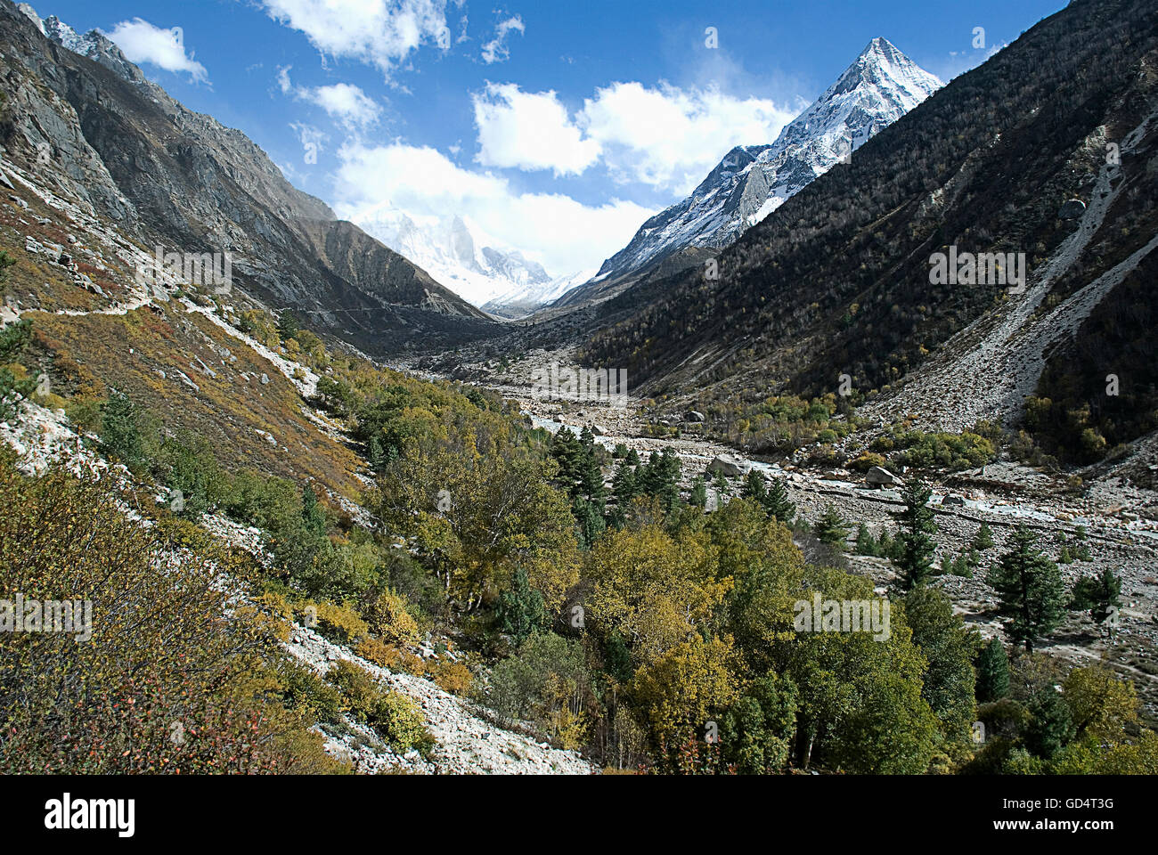 Gaumukh trekking trail Stock Photo - Alamy