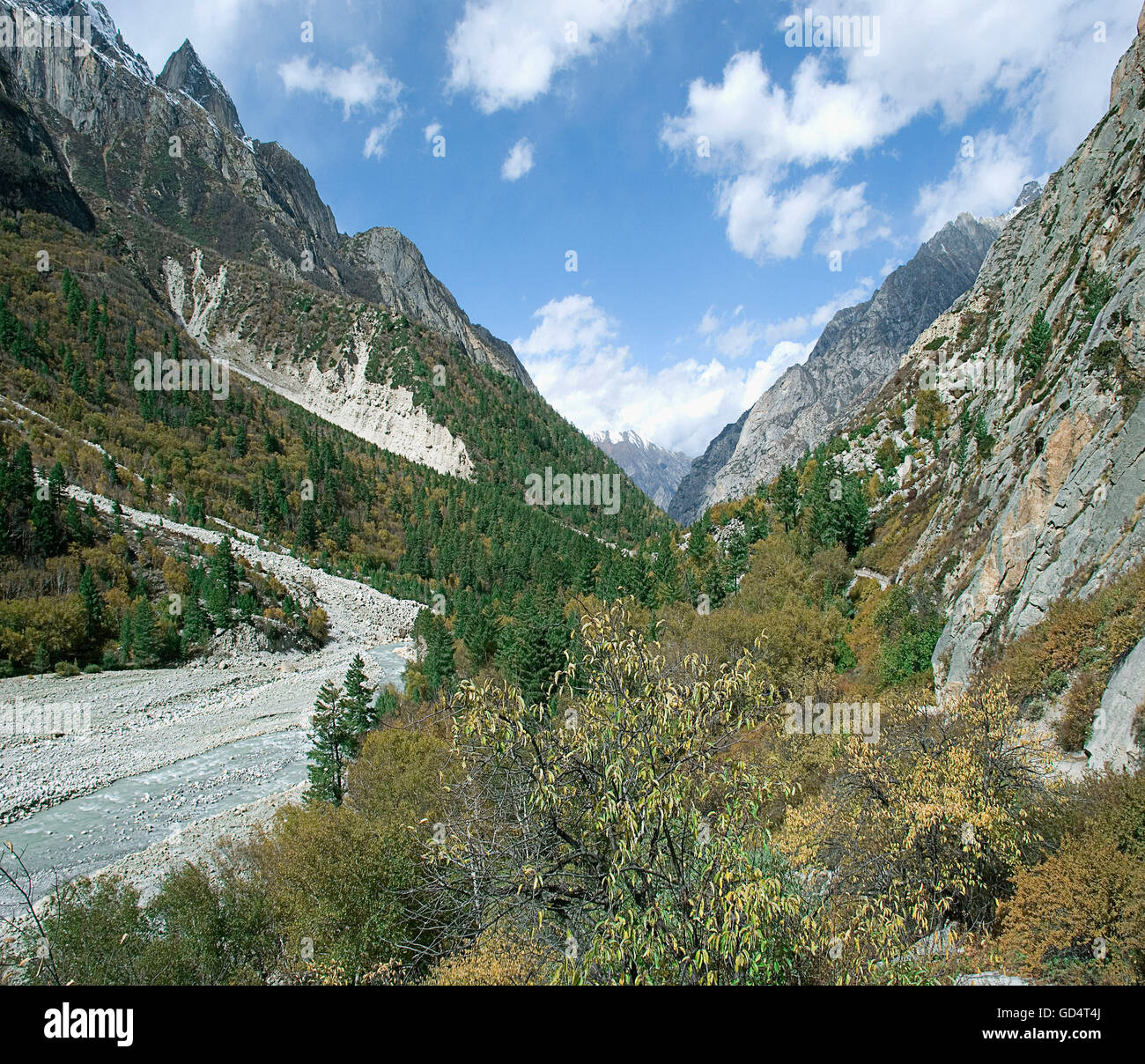 Gaumukh trekking trail Stock Photo - Alamy