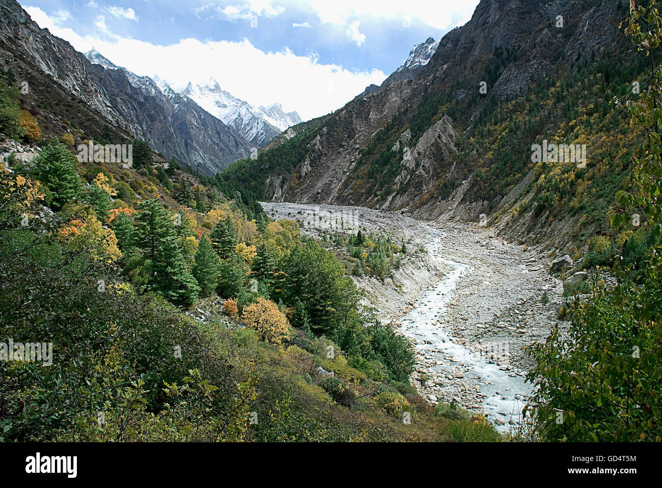 Bhagirathi valley hi-res stock photography and images - Alamy