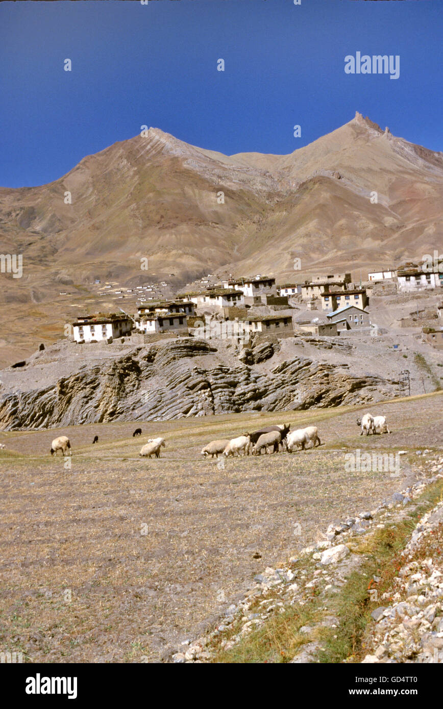 Kibber Village Stock Photos & Kibber Village Stock Images - Alamy