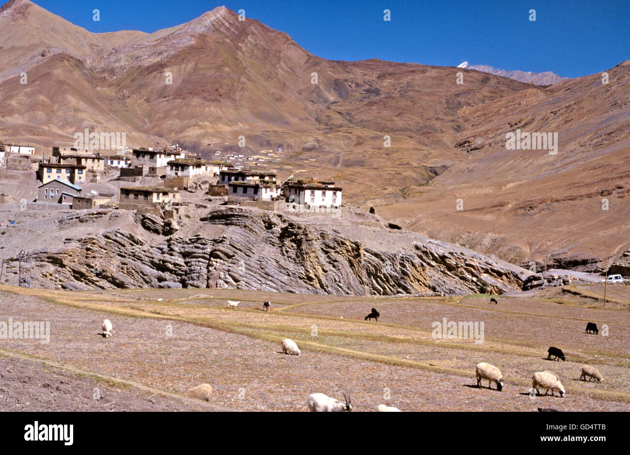 Kibber Village Stock Photos & Kibber Village Stock Images - Alamy