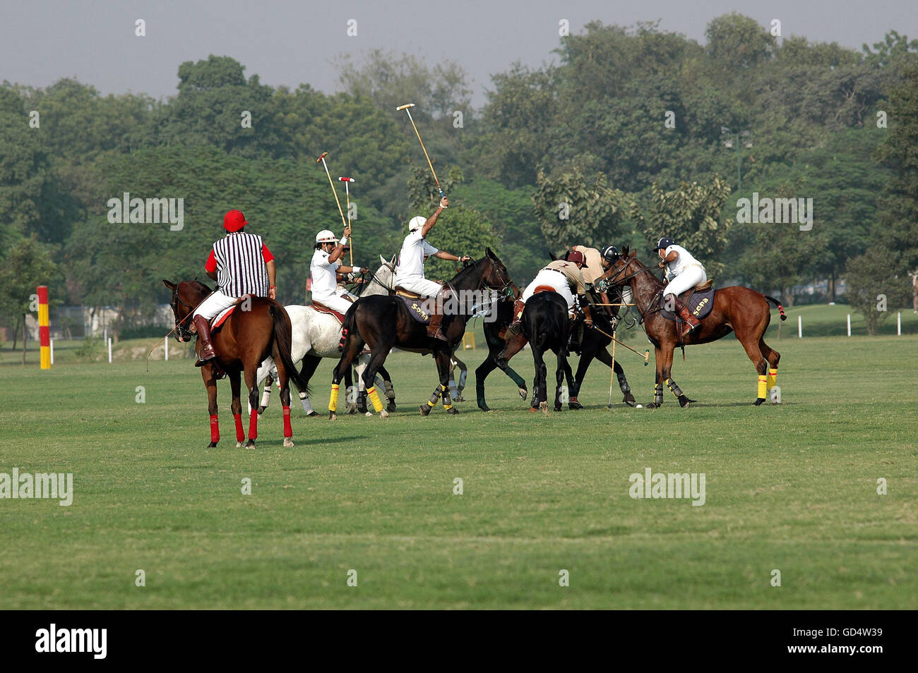 Polo players in action Stock Photo - Alamy