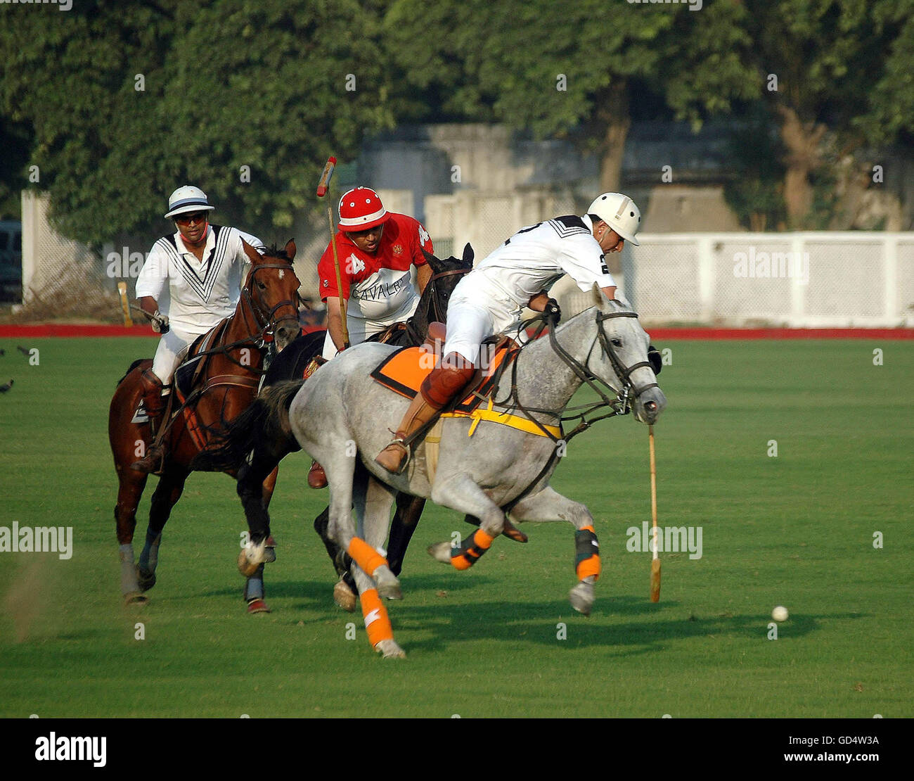 Polo players in action Stock Photo - Alamy