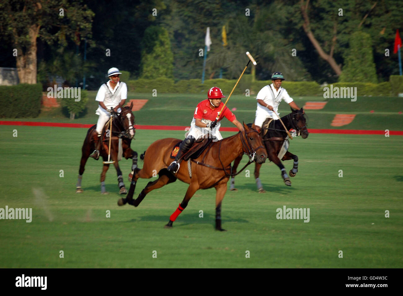 Polo players in action Stock Photo - Alamy
