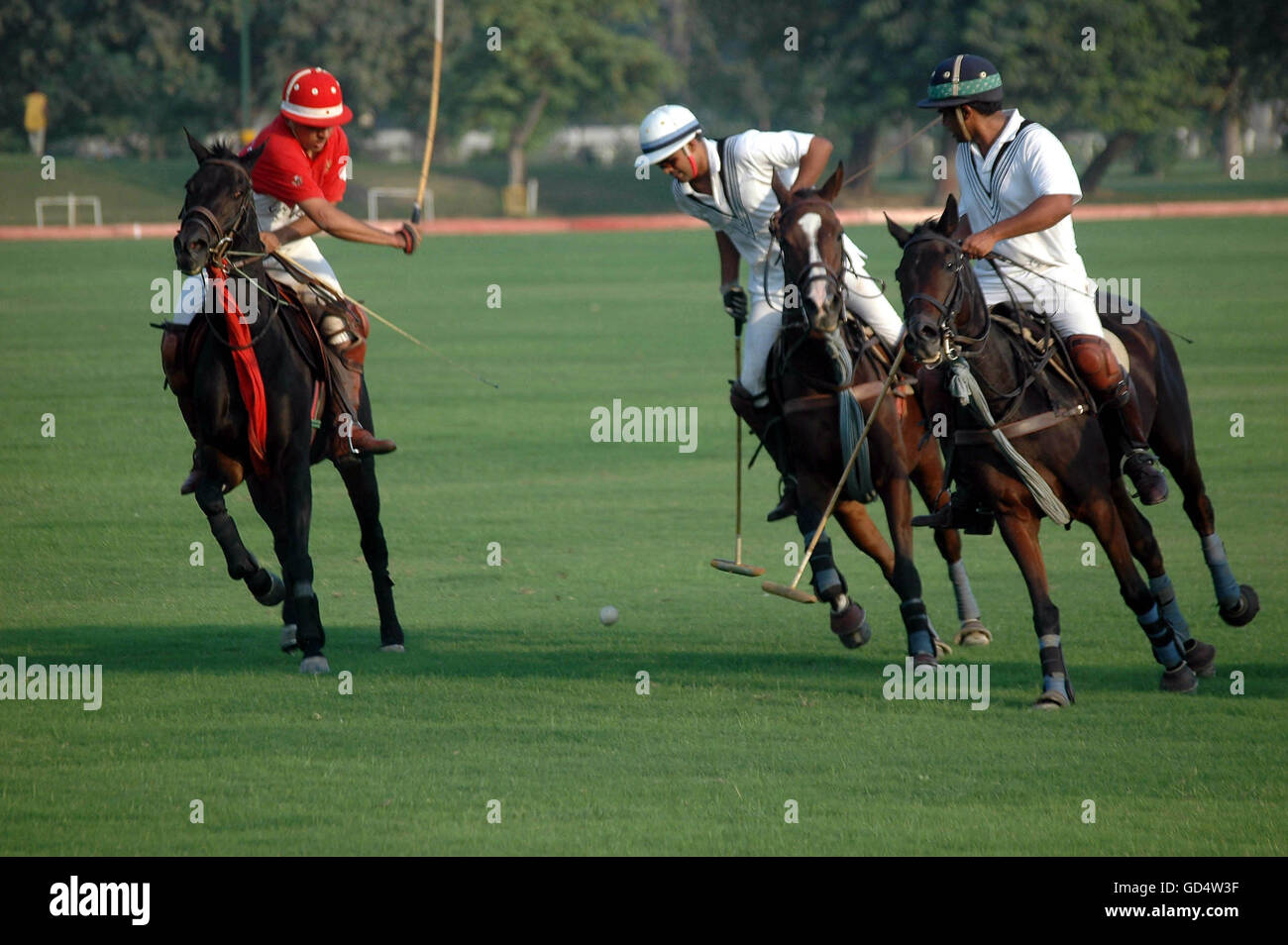 Polo players in action Stock Photo - Alamy