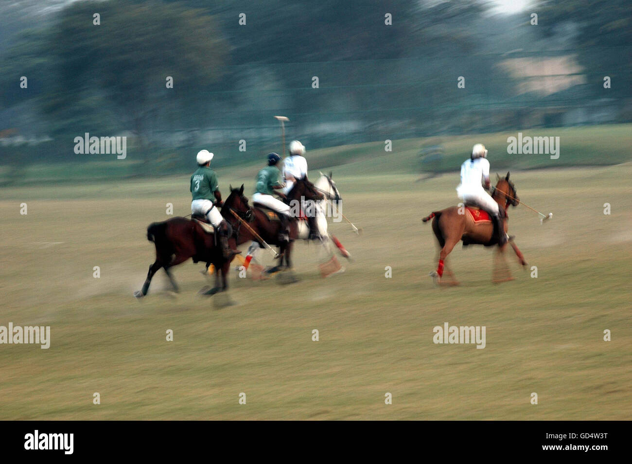Polo players in action Stock Photo - Alamy