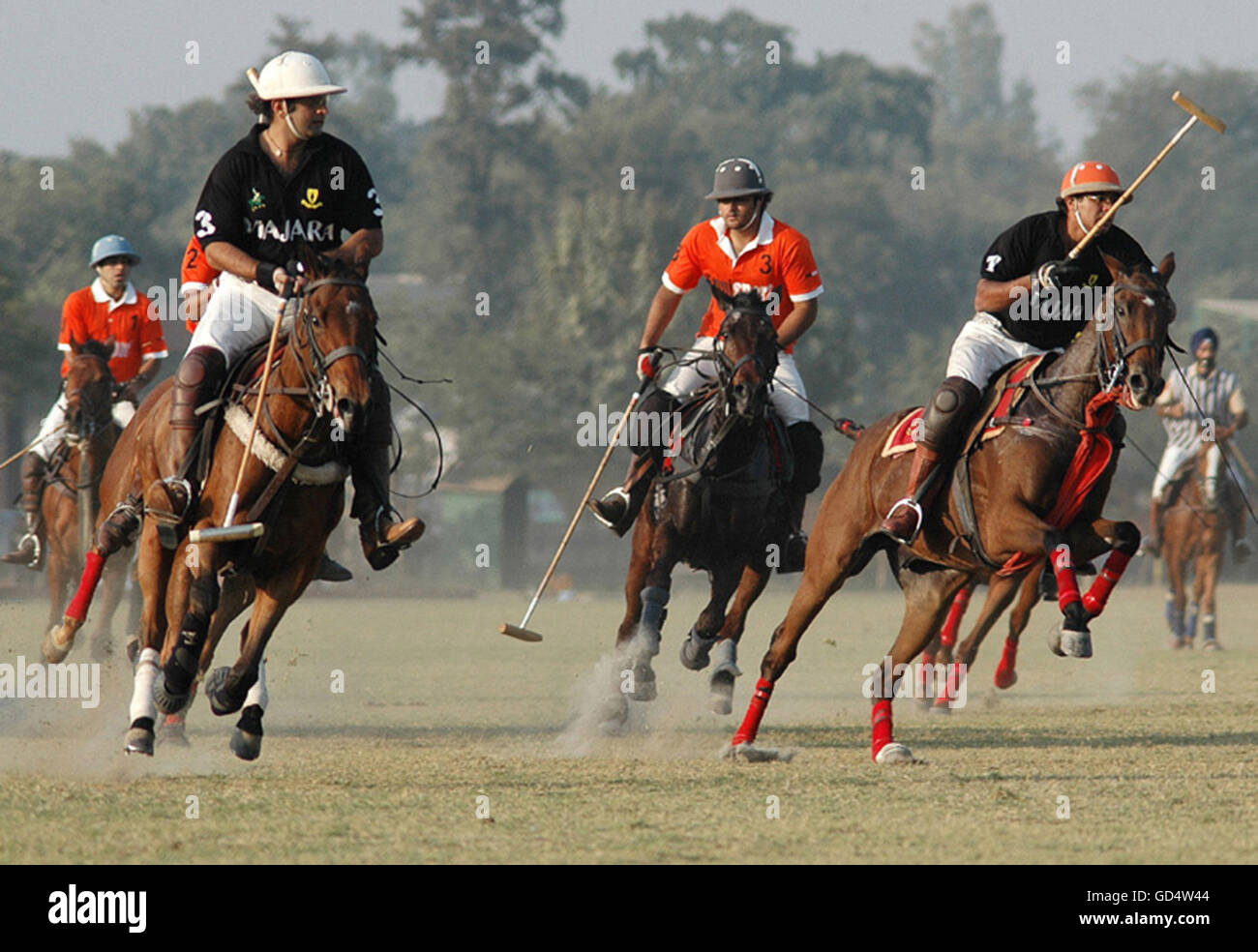 Polo players in action Stock Photo - Alamy