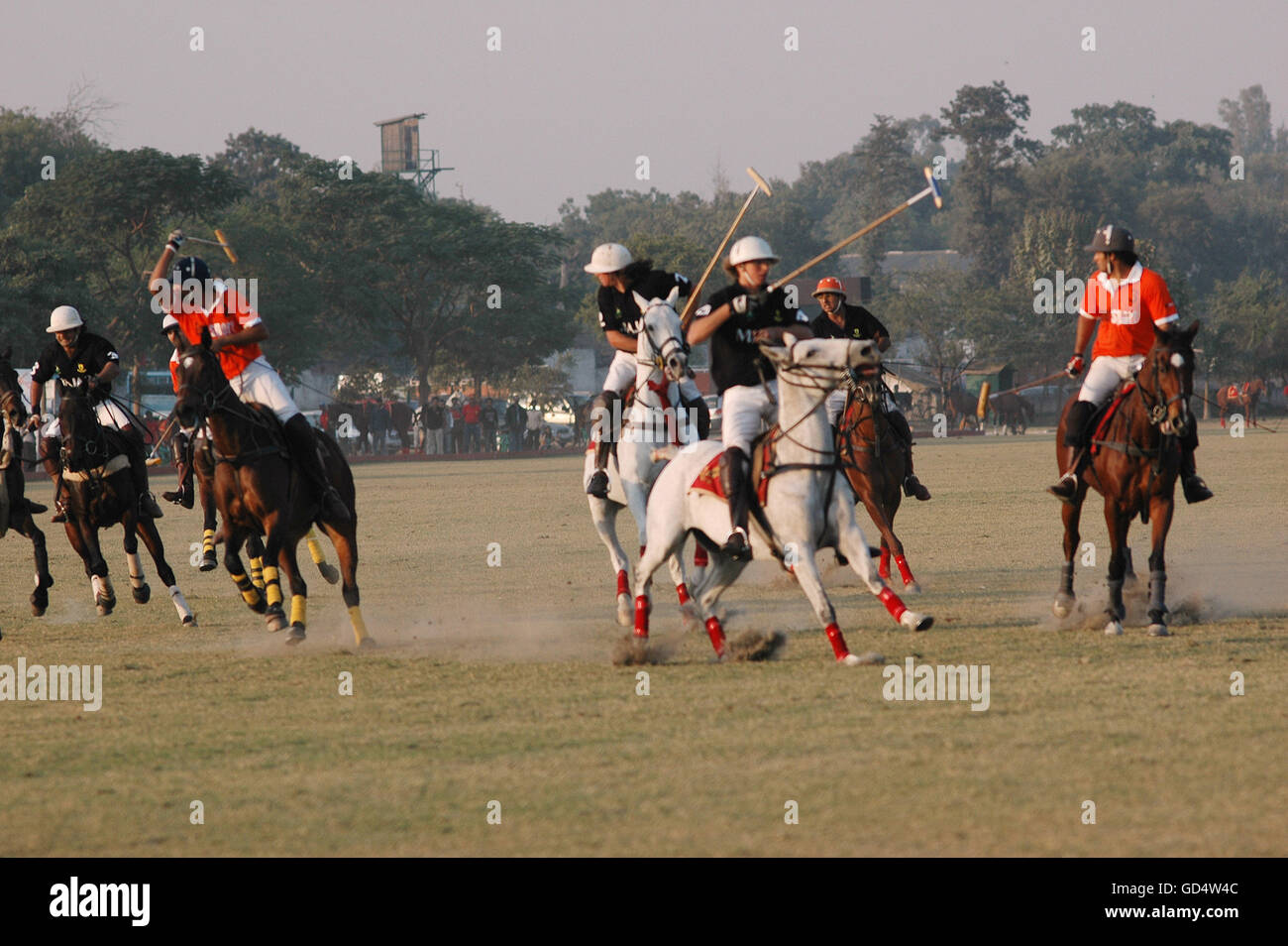 Polo players in action Stock Photo - Alamy