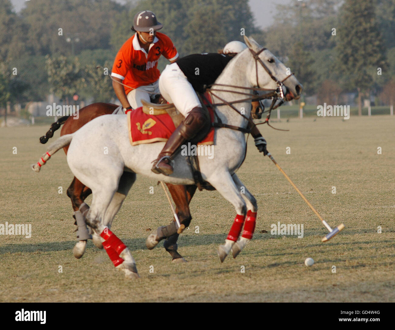Polo players in action Stock Photo - Alamy