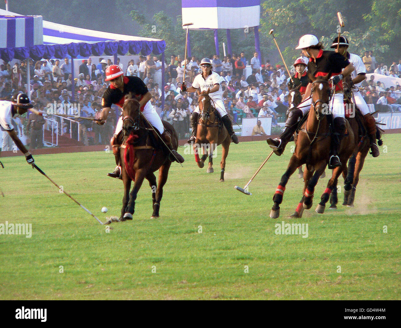 Polo players in action Stock Photo - Alamy