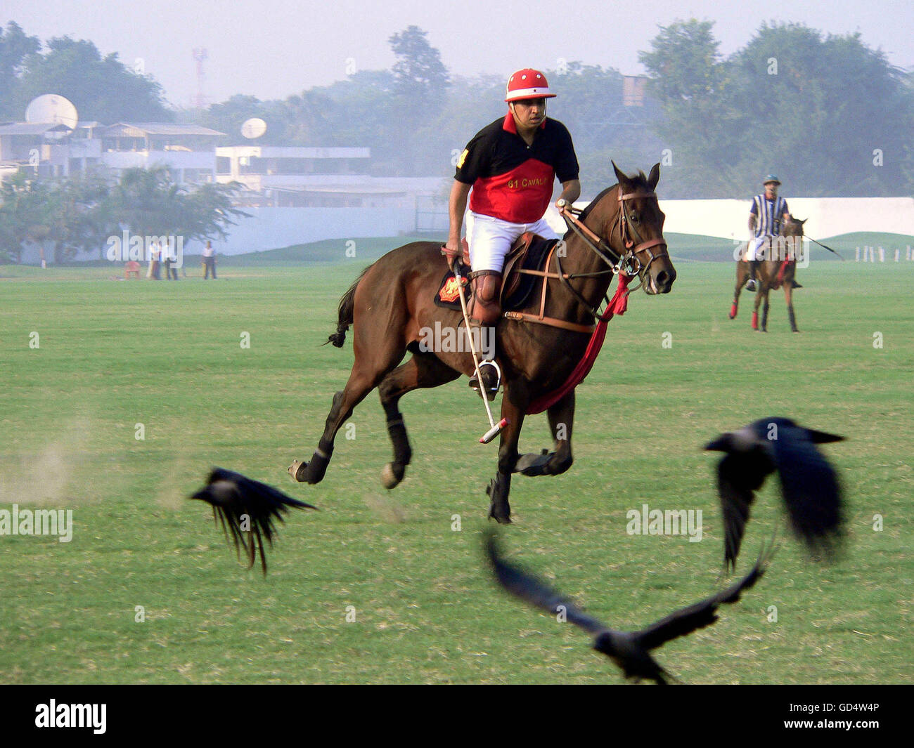 Polo players in action Stock Photo - Alamy
