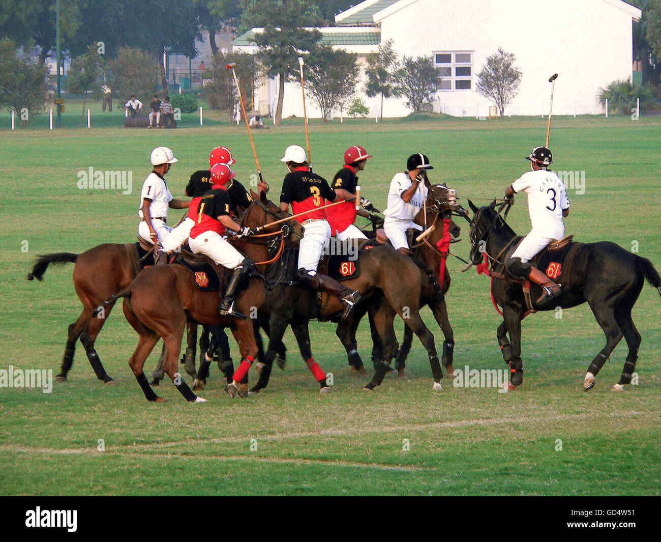 Polo players in action Stock Photo - Alamy