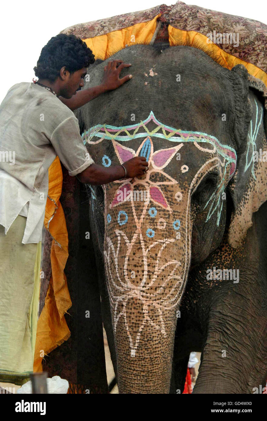 Mahout decorating elephant Stock Photo - Alamy