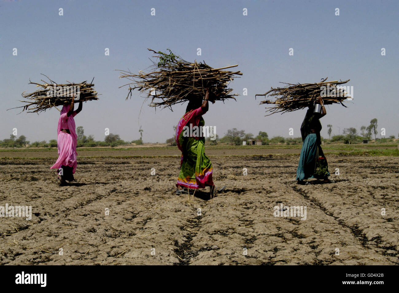 Women carrying wood sticks Stock Photo - Alamy