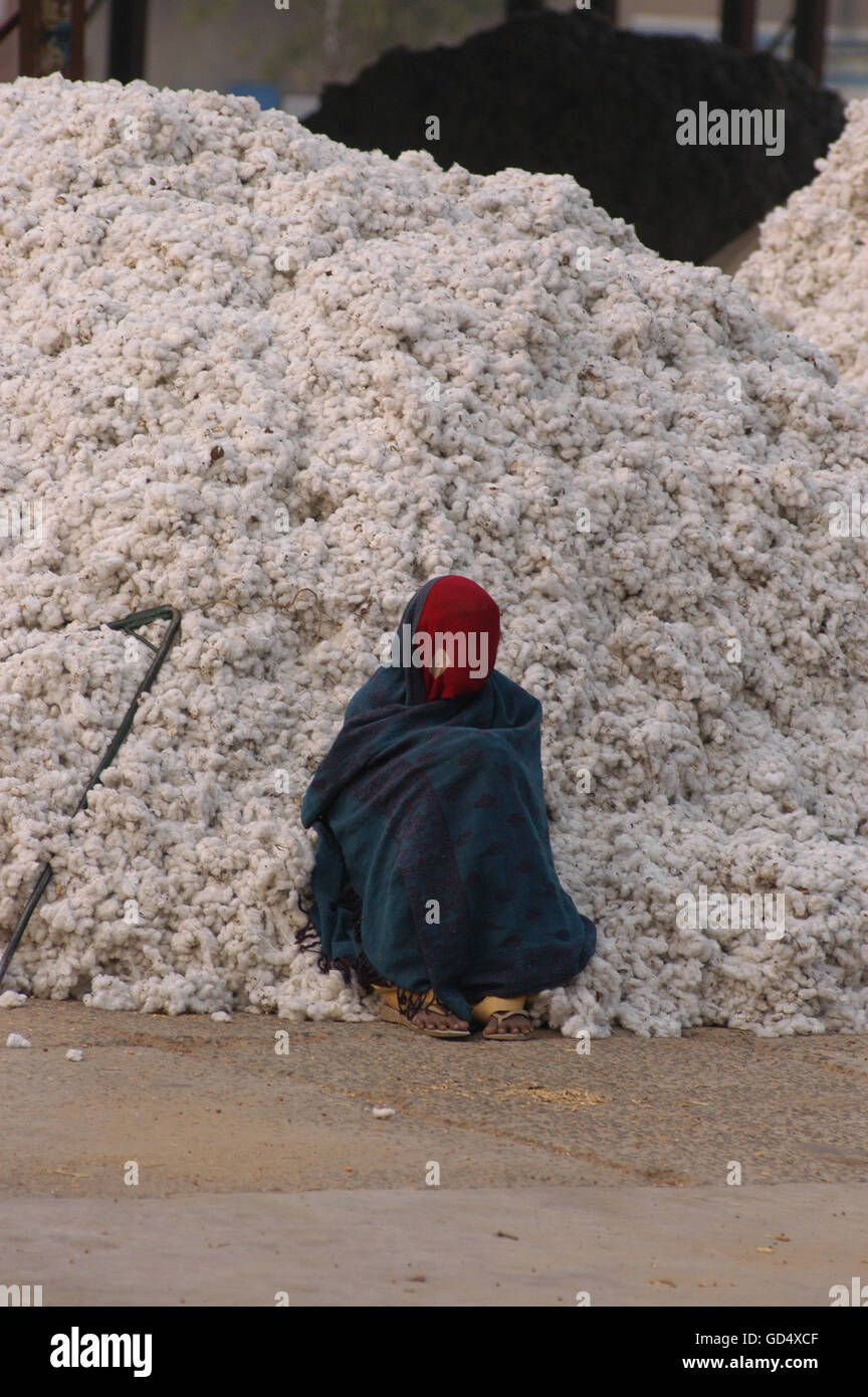 Indian worker hi-res stock photography and images - Alamy