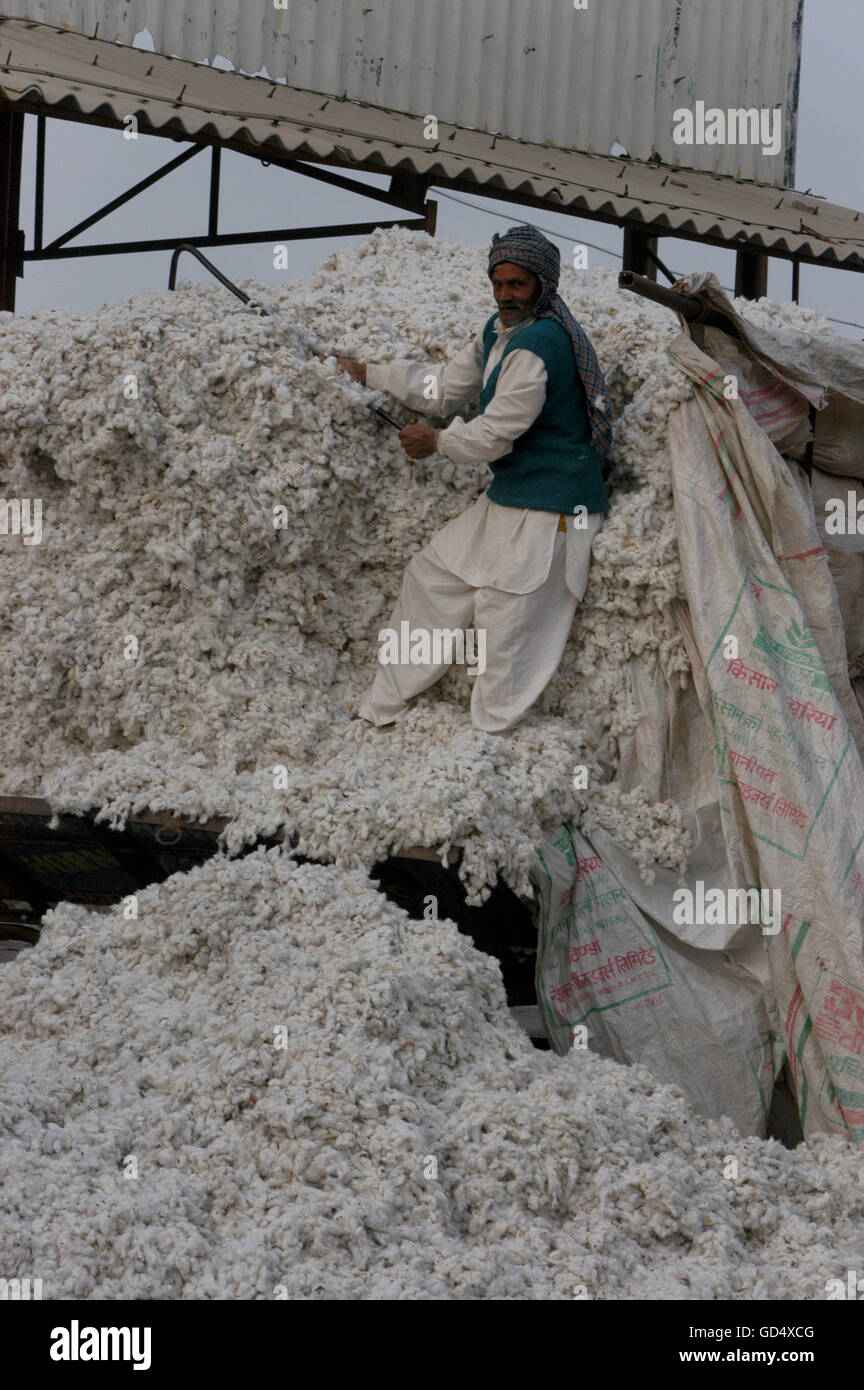 An Indian worker Stock Photo - Alamy